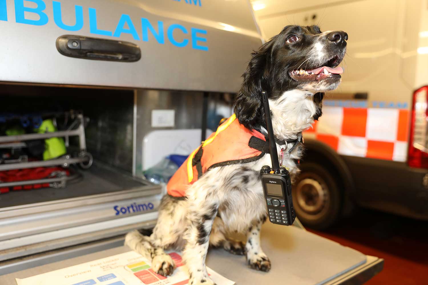 How you can help - Mountain Rescue England and Wales