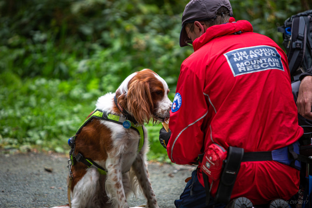 SARDA Wales - Mountain Rescue England and Wales