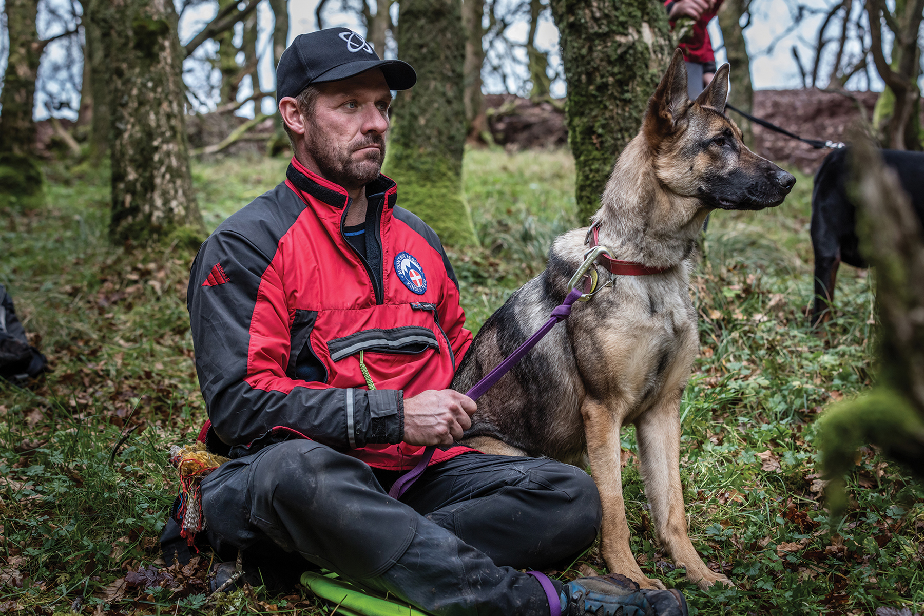 Search Dogs England - Mountain Rescue England and Wales