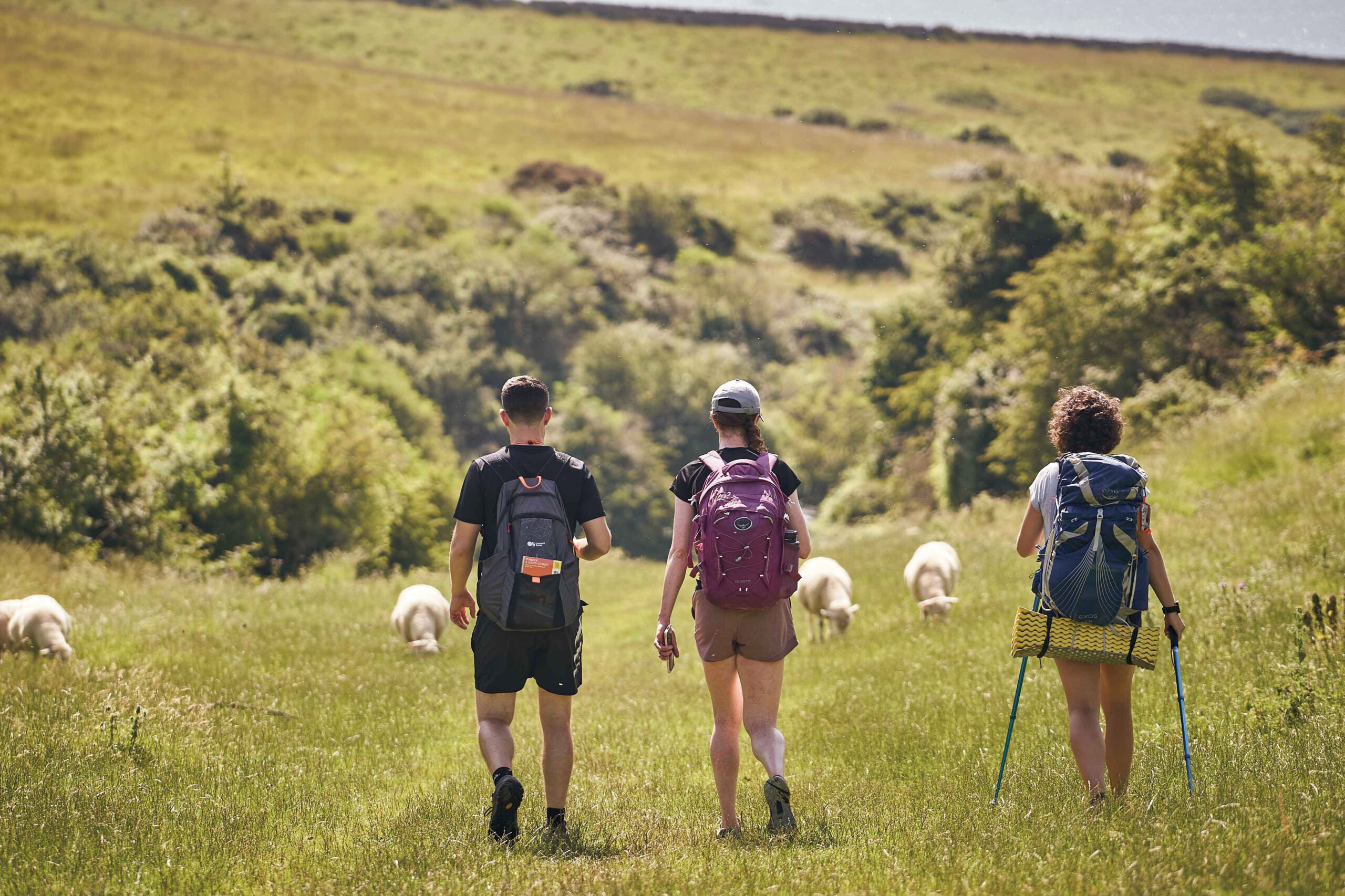 How to navigate with your phone and find new paths with OS Maps - Mountain Rescue England and Wales